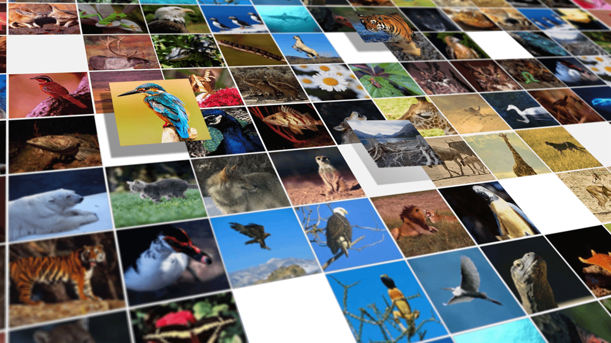 How to Create a Photo Mosaic | Picture Mosaics